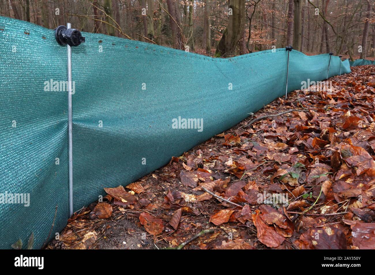 Toad fence hi-res stock photography and images - Alamy
