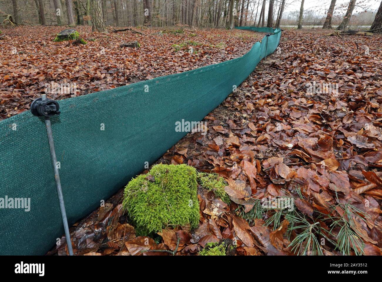 Toad fence hi-res stock photography and images - Alamy