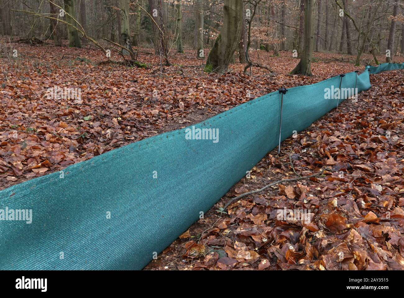 Toad fence hi-res stock photography and images - Alamy