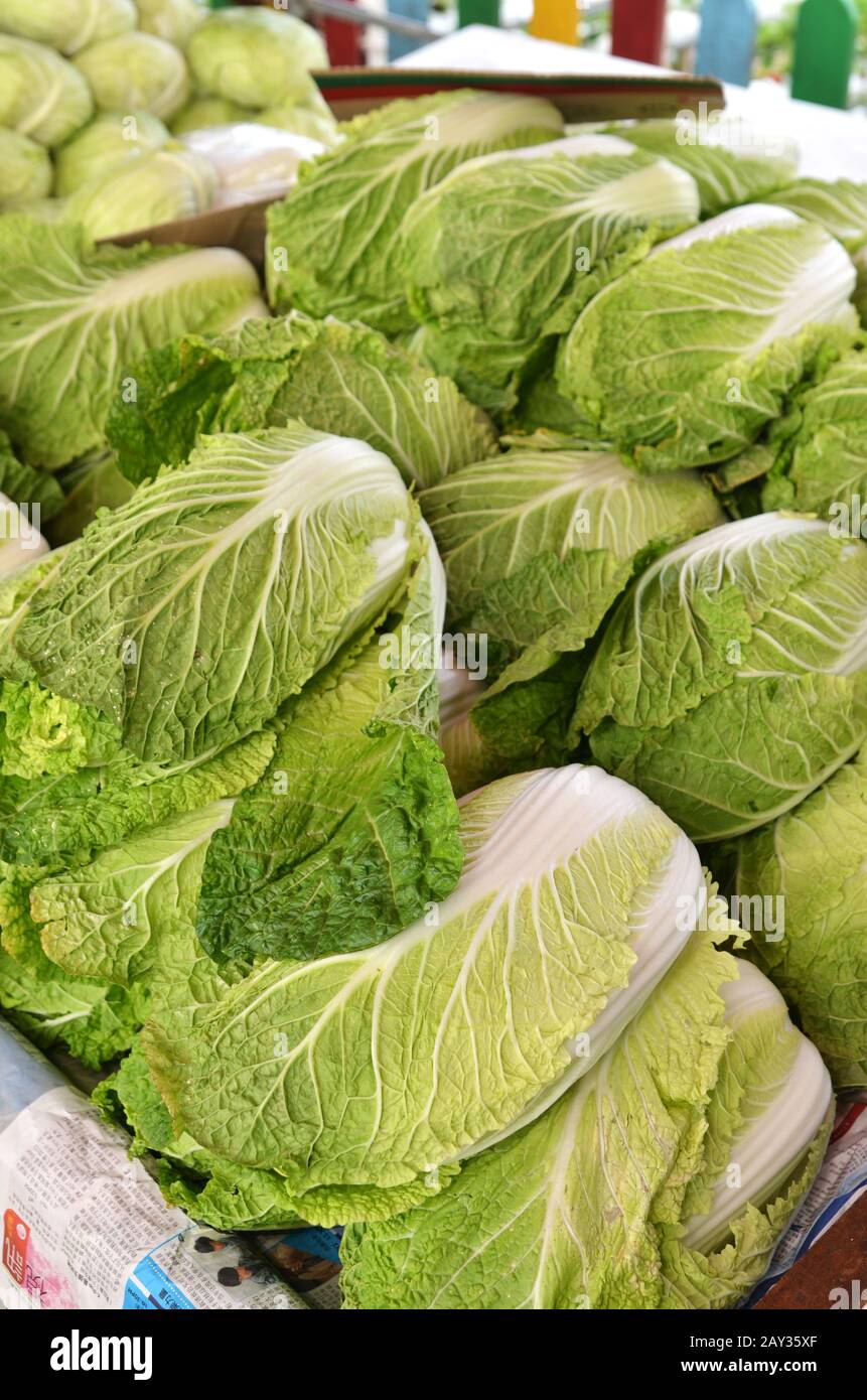 Chinese lettuce hi-res stock photography and images - Alamy