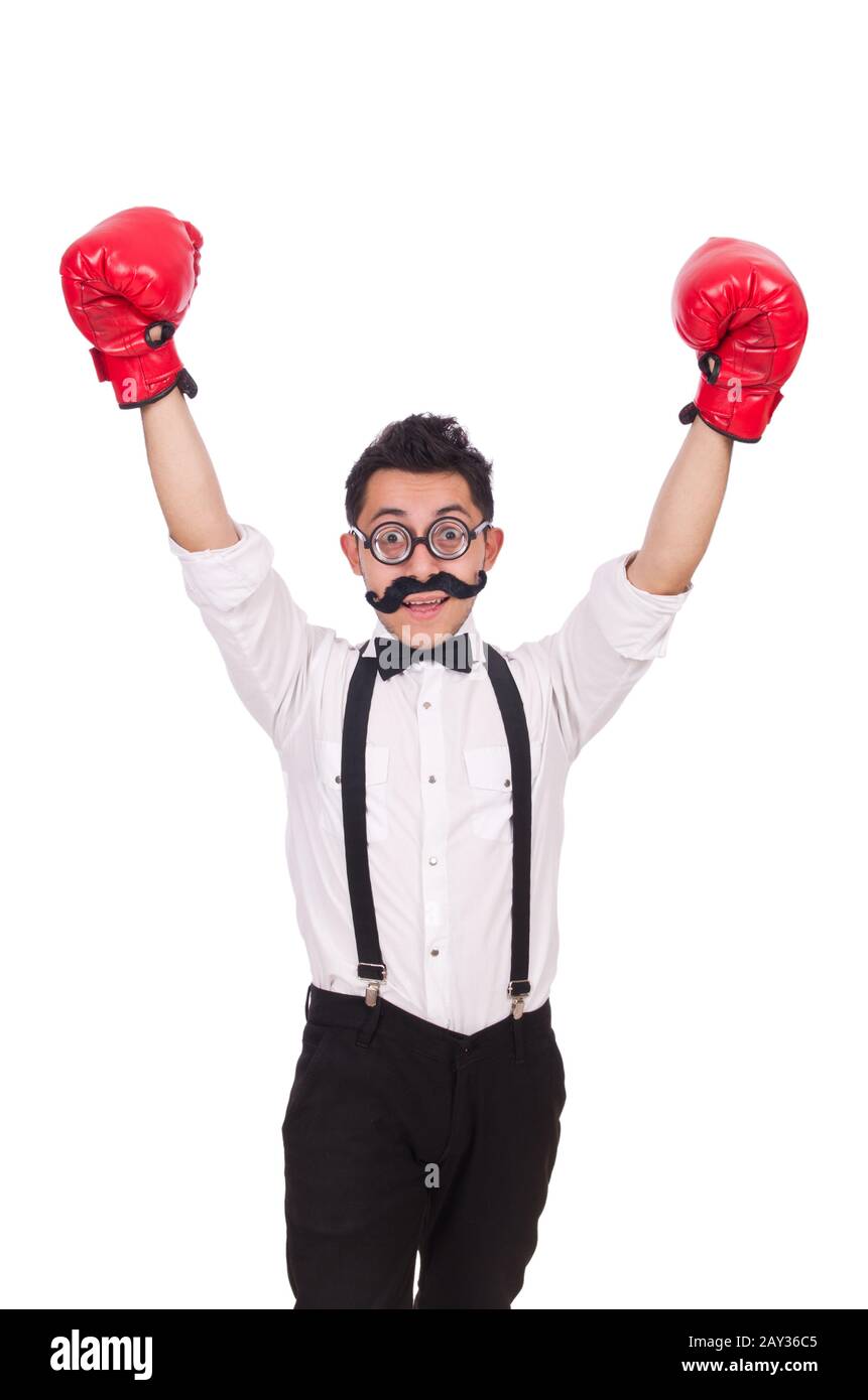 Funny boxer isolated on the white background Stock Photo - Alamy