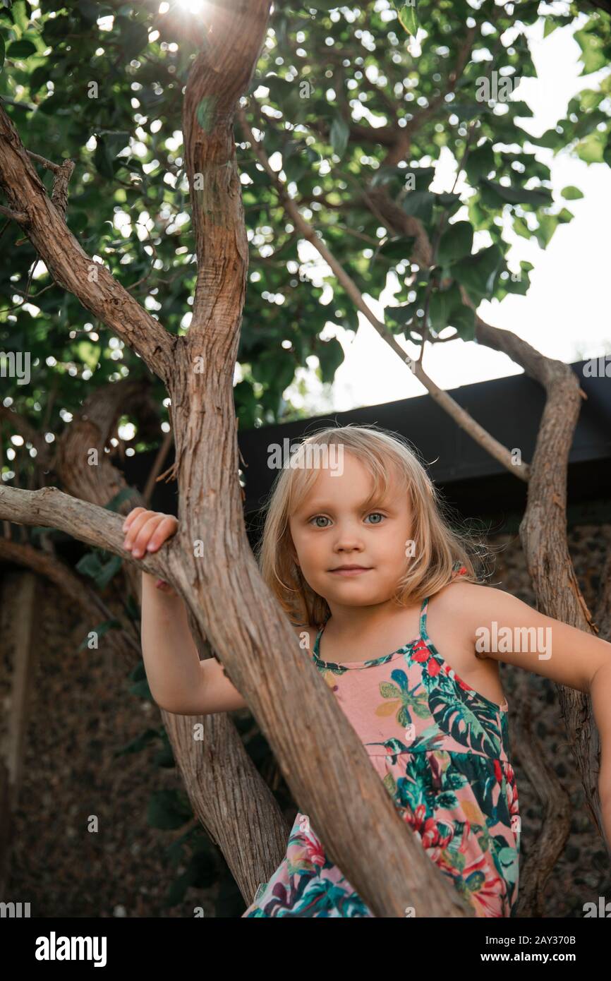 Girl on tree hi-res stock photography and images - Alamy