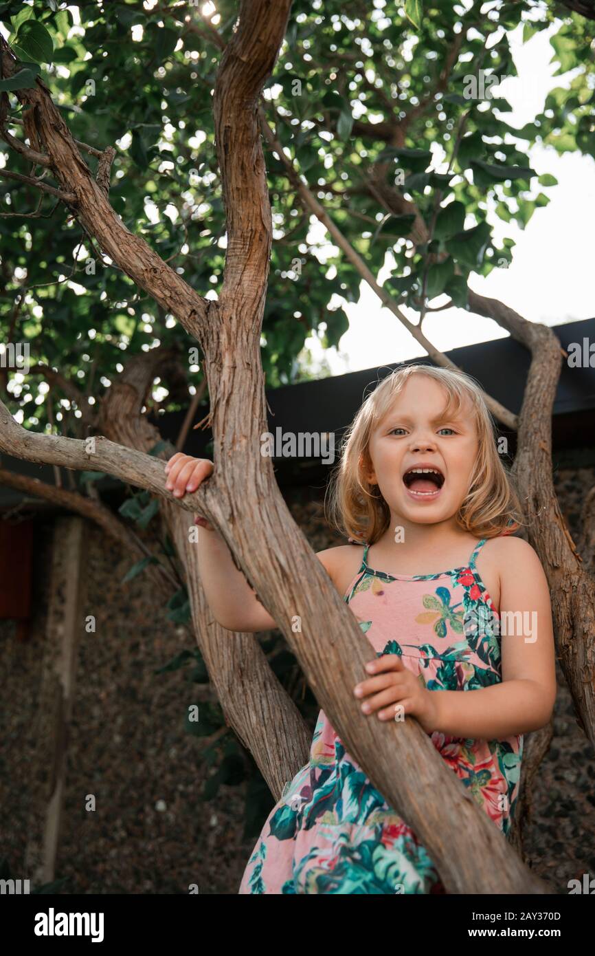 Girl on tree hi-res stock photography and images - Alamy