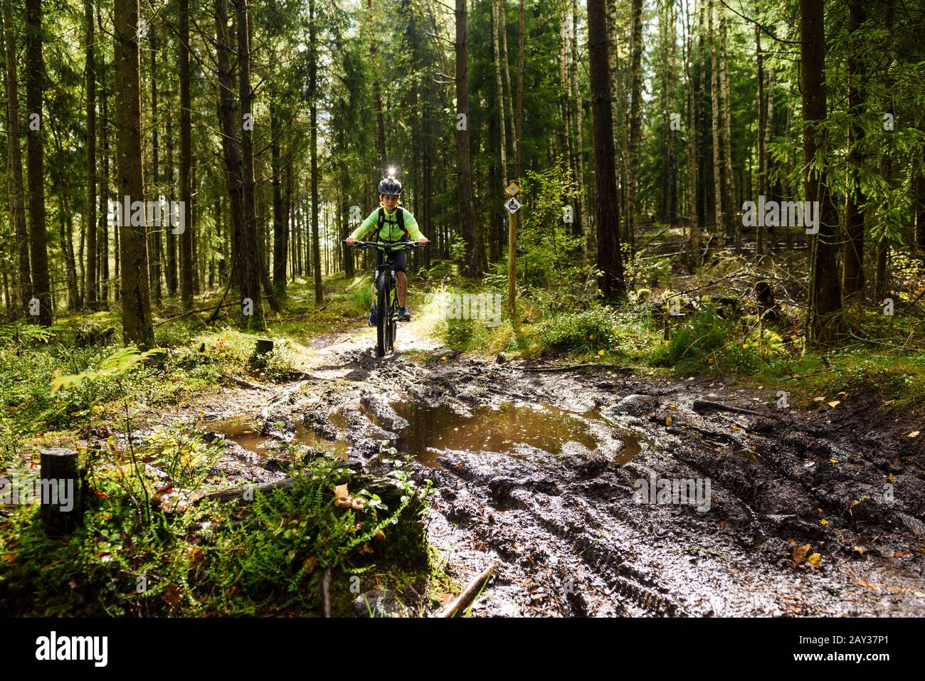Boy cycling in forest Stock Photo - Alamy