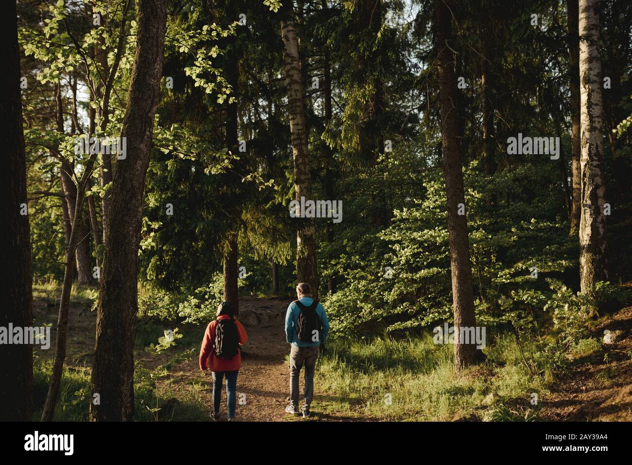 Hiking hikers people forest hi-res stock photography and images - Alamy