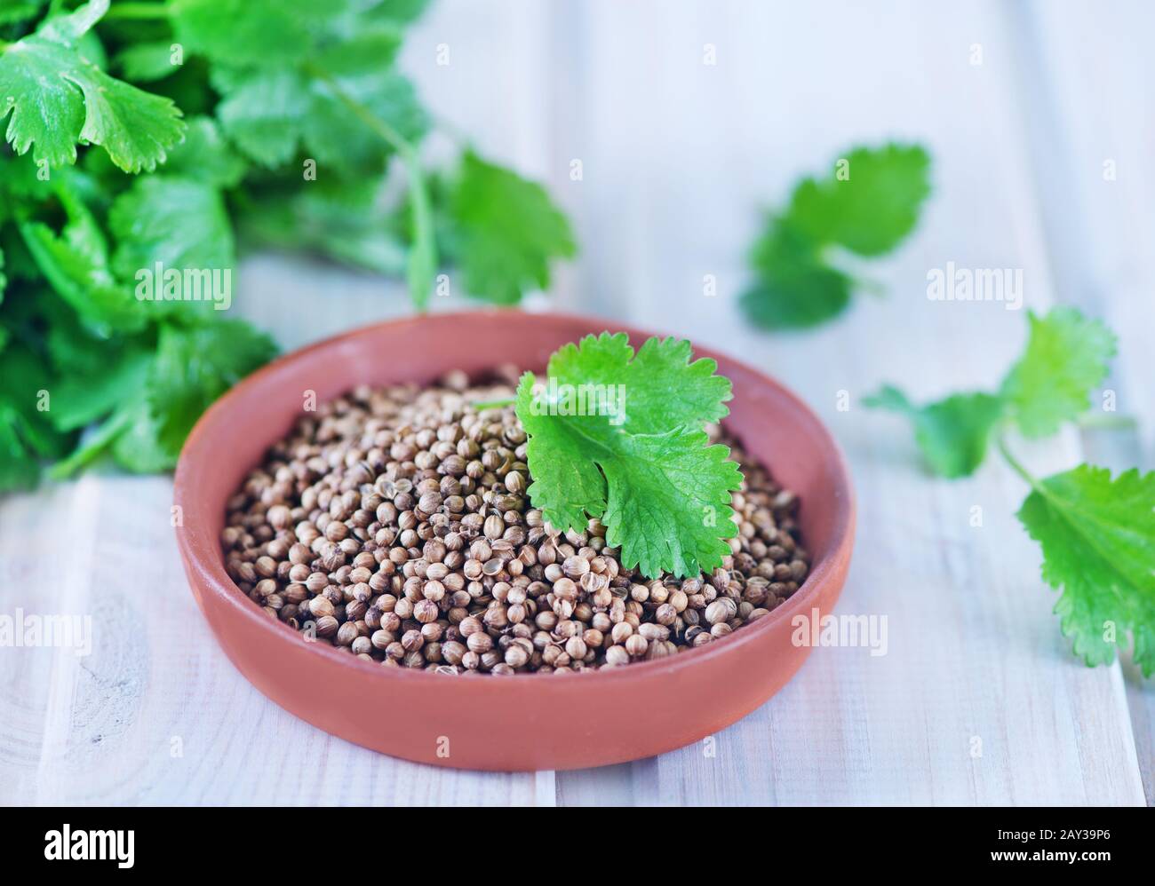 Dried coriander fruits hi-res stock photography and images - Alamy