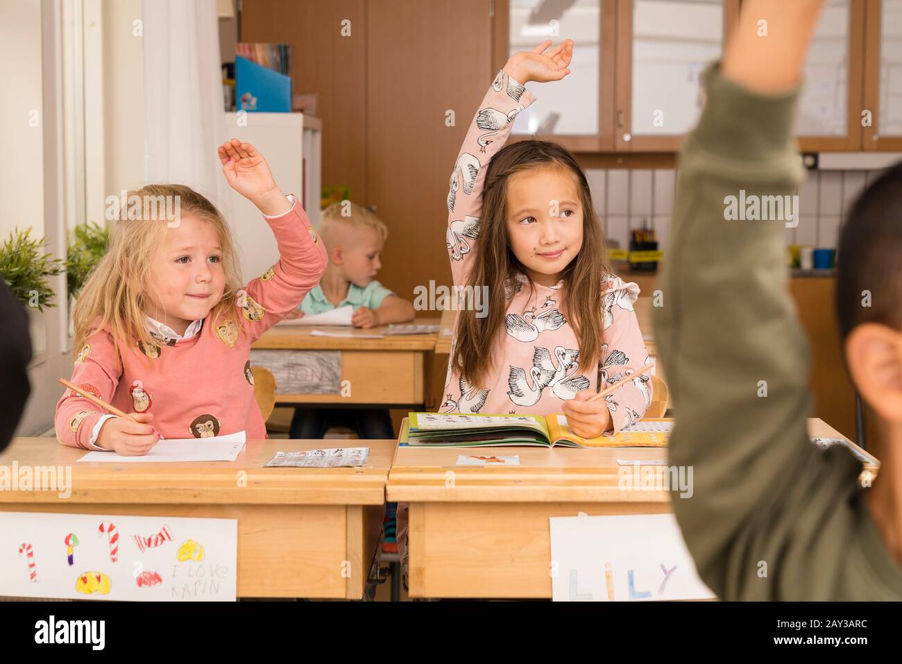 Girls in classroom raising hands Stock Photo - Alamy