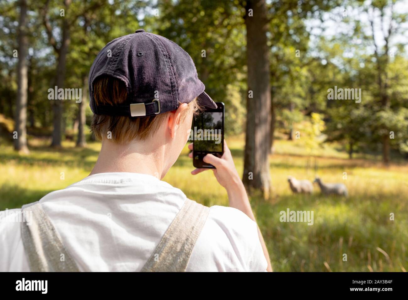 Photographing people hi-res stock photography and images - Alamy