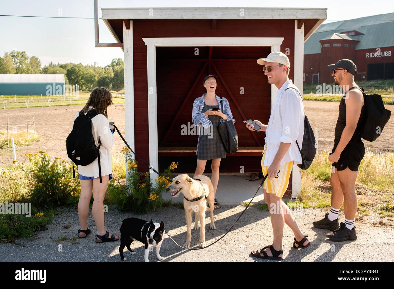 People with dogs at bus stop Stock Photo - Alamy