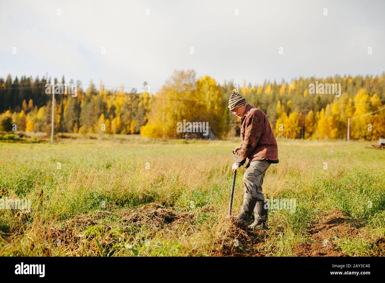 Man vegetables on field hi-res stock photography and images - Alamy