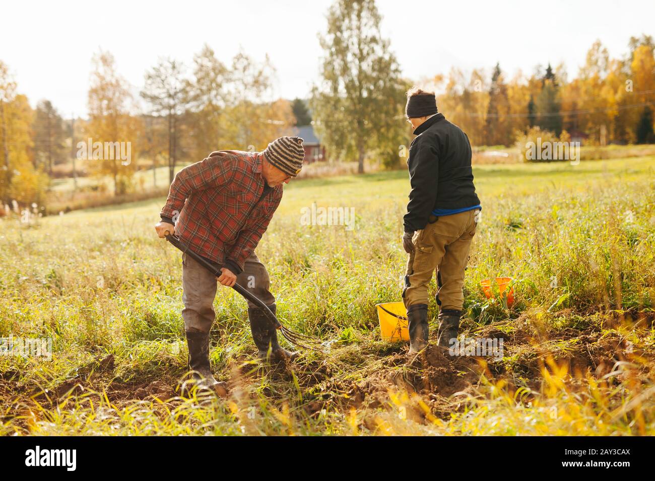 Dig tree man hi-res stock photography and images - Alamy