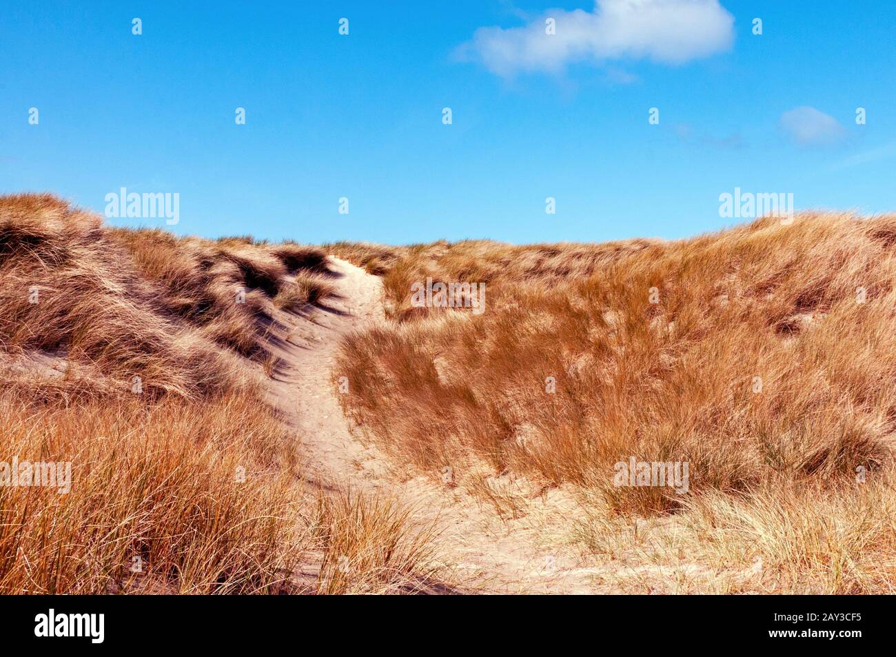 Sand dunes of Silver Strand, County Mayo, Ireland Stock Photo - Alamy
