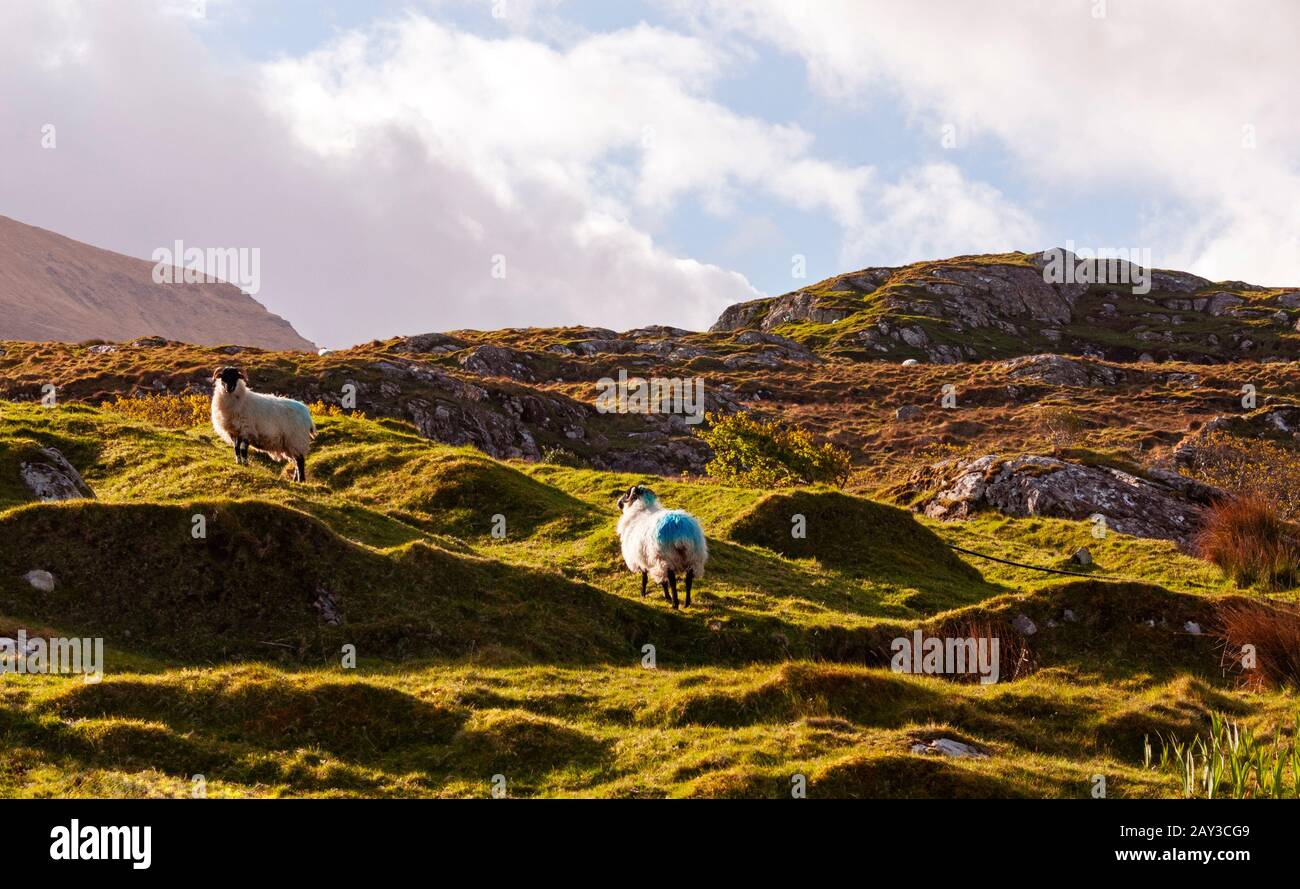 Painted hills black and white hi-res stock photography and images - Alamy