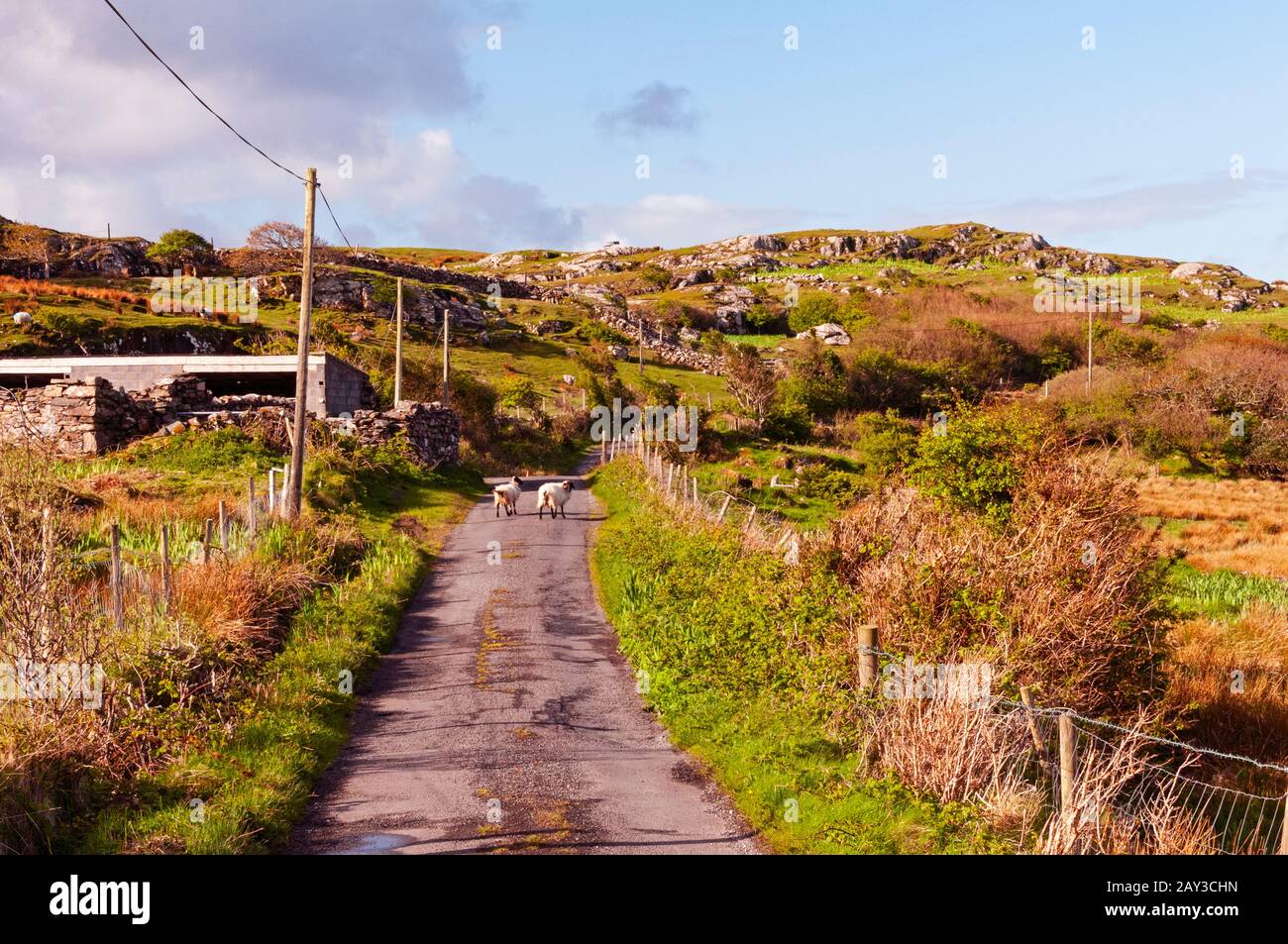 Killadoon hi-res stock photography and images - Alamy