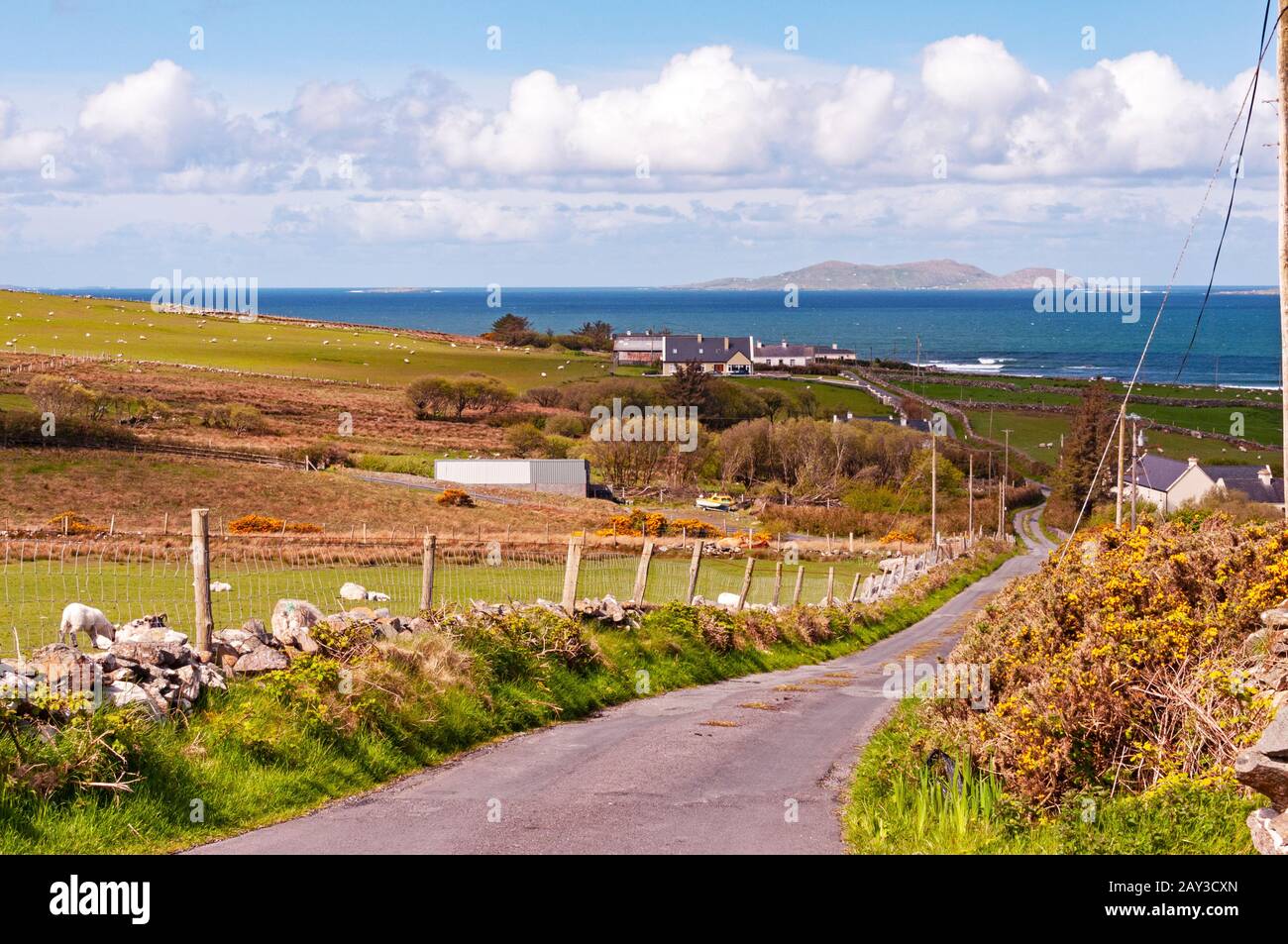 Killadoon High Resolution Stock Photography and Images - Alamy