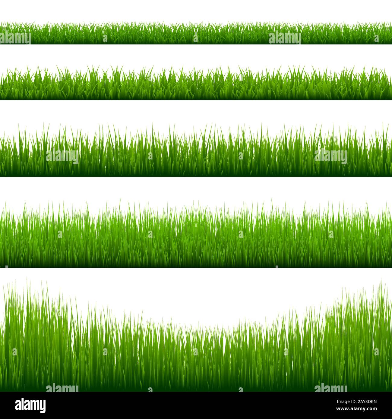 Grass borders collection. Green meadow nature background. Easter card ...