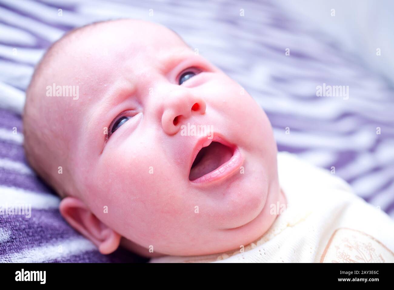 Ginger baby back hi-res stock photography and images - Alamy