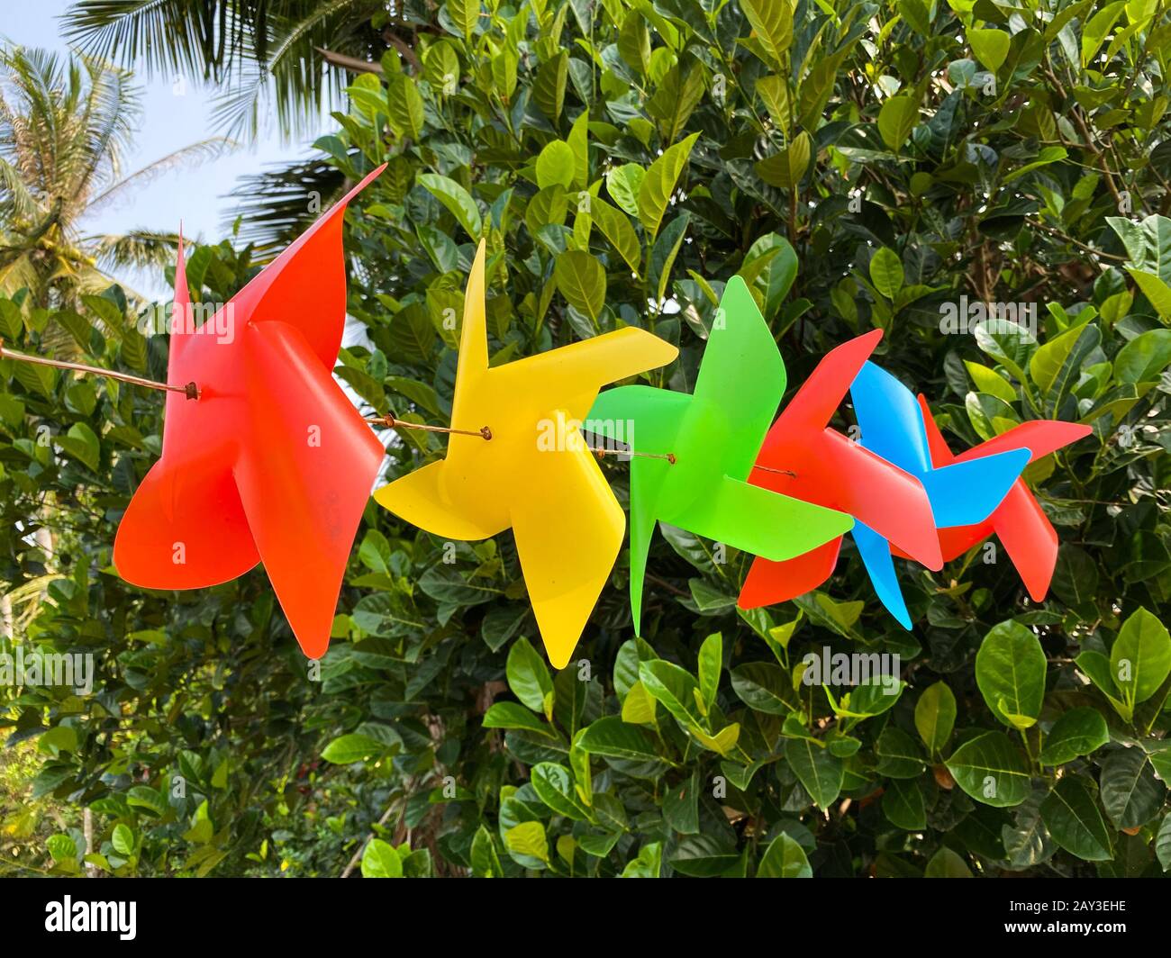 Colorful pinwheel for decoration at garden in Mekong Delta, Vietnam ...