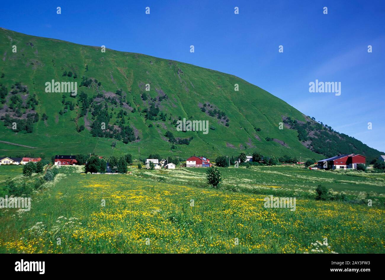Isle of andoya hi-res stock photography and images - Alamy