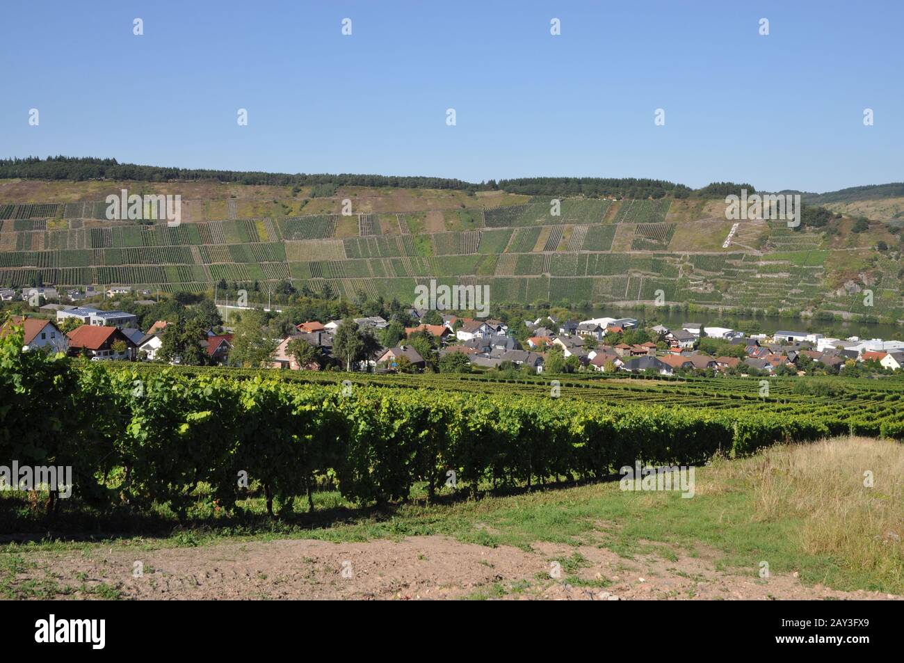 Mehring hi-res stock photography and images - Alamy