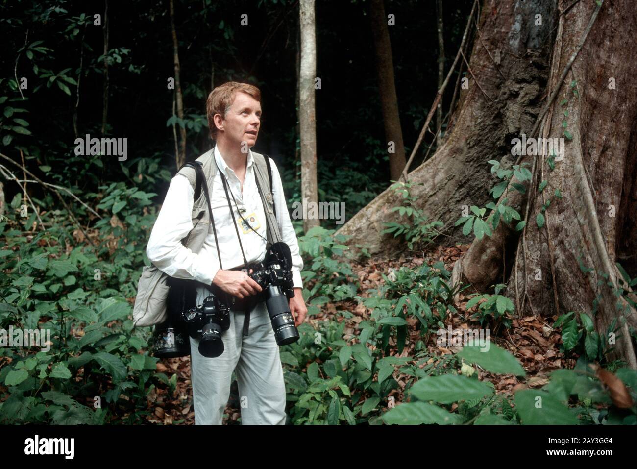 Royal photographer Tim Graham in the Korup rainforest of Cameroon ...