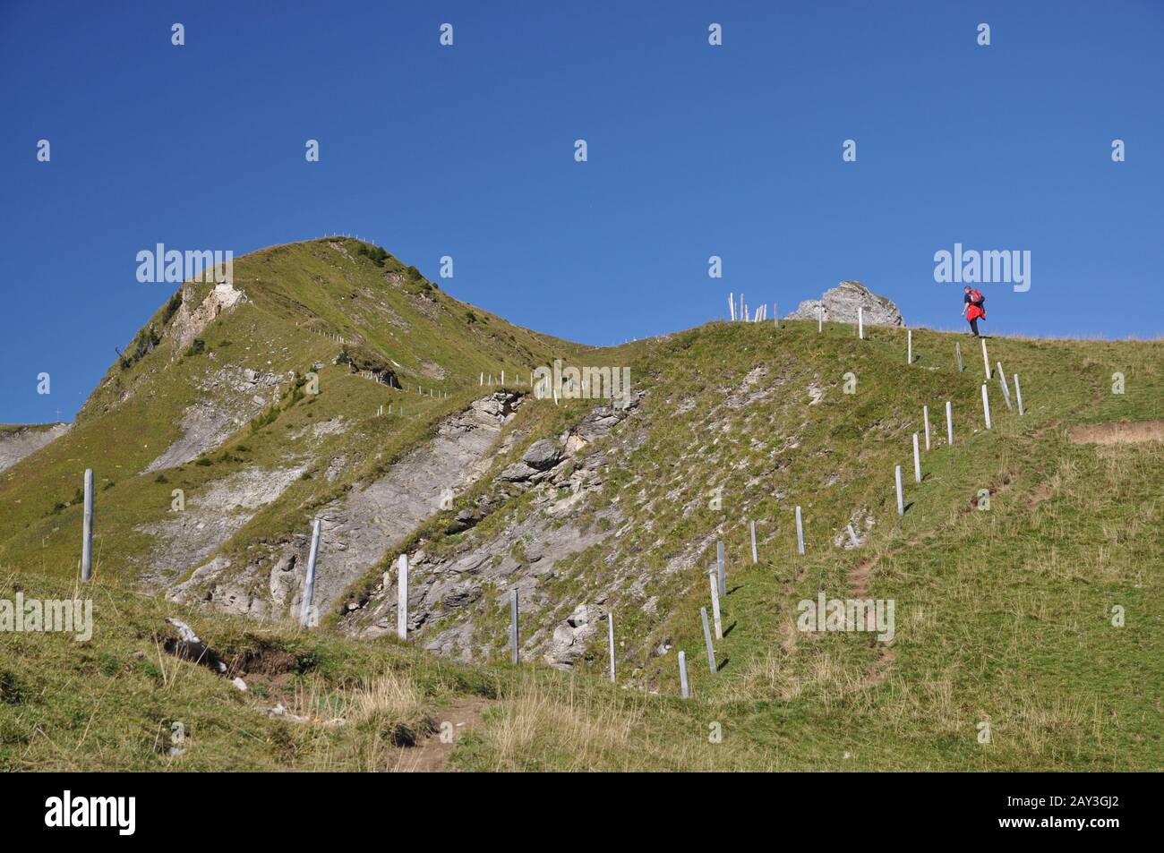 Hoch gumme hi-res stock photography and images - Alamy