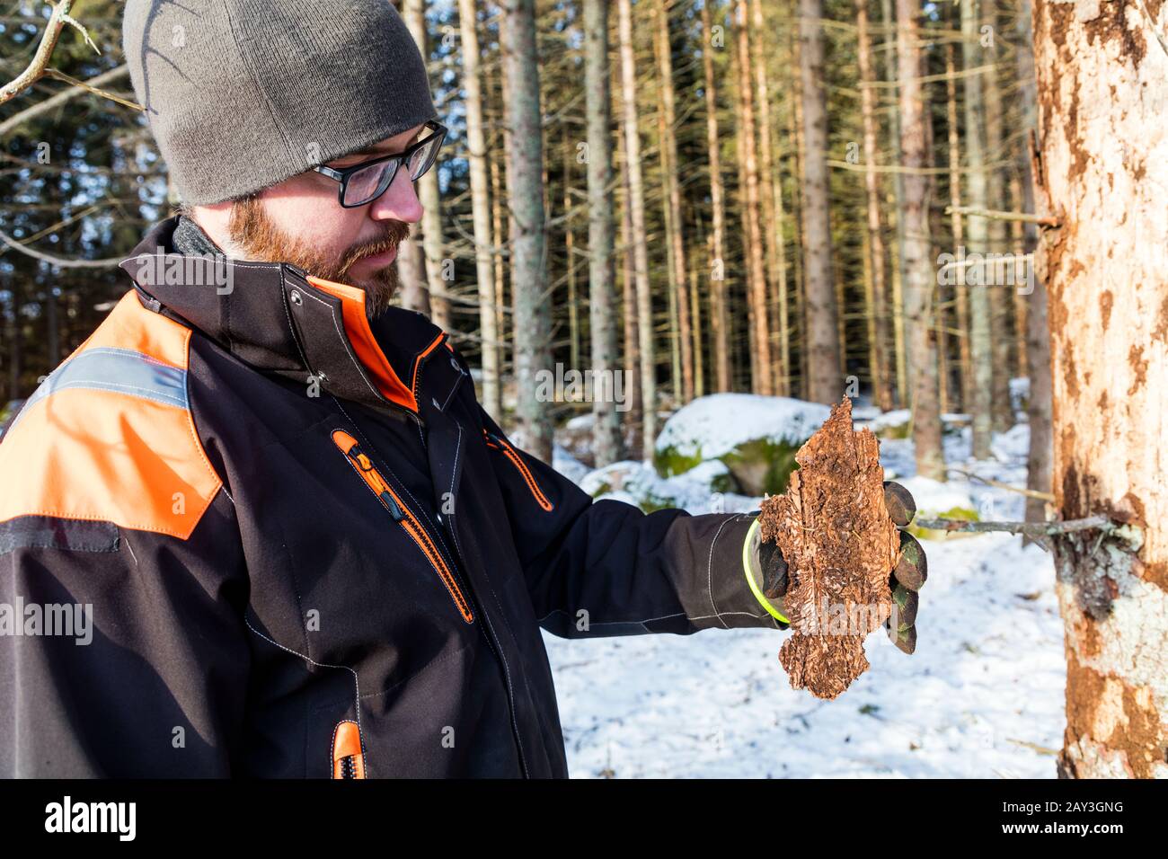 Man holding tree bark Stock Photo - Alamy