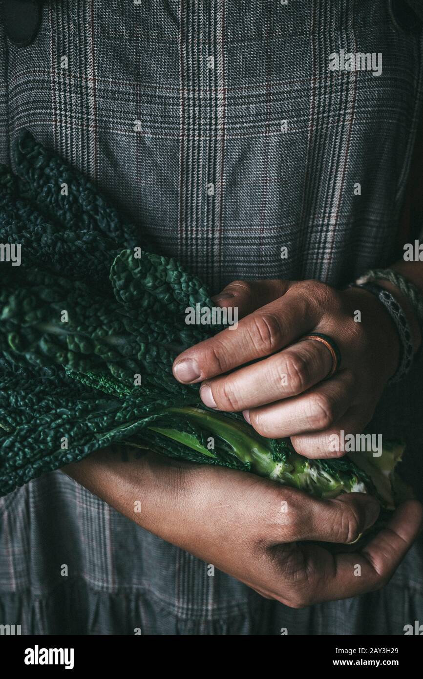 Person holding kale leaves Stock Photo - Alamy