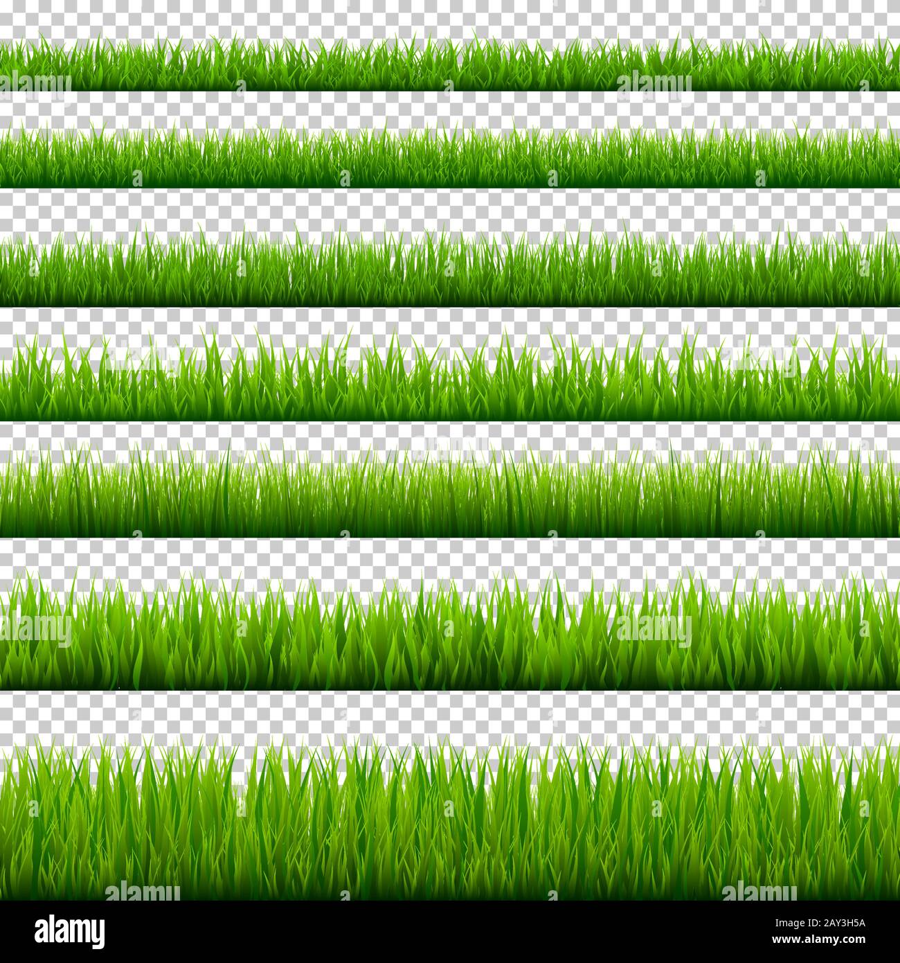 Grass borders collection. Green meadow nature background. Easter card ...