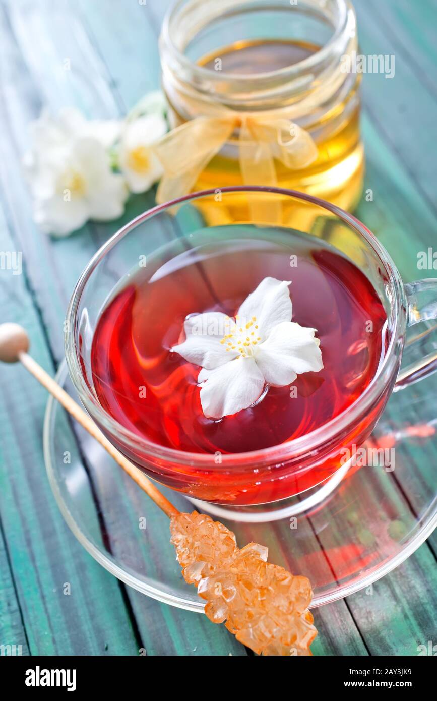 Jasmin plant pot hi-res stock photography and images - Alamy