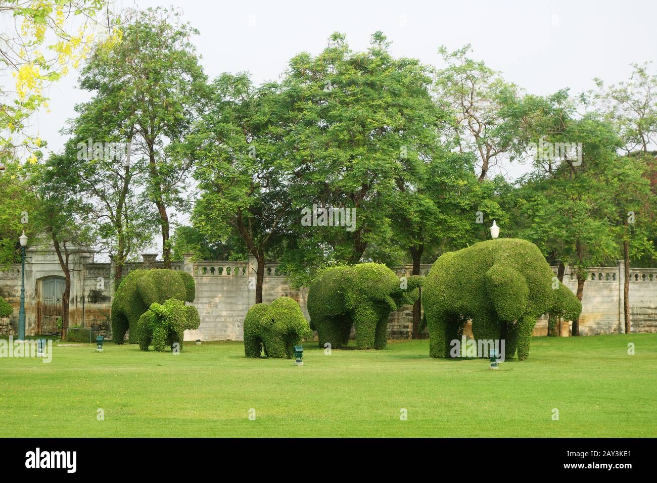 Formal elephant hi-res stock photography and images - Alamy