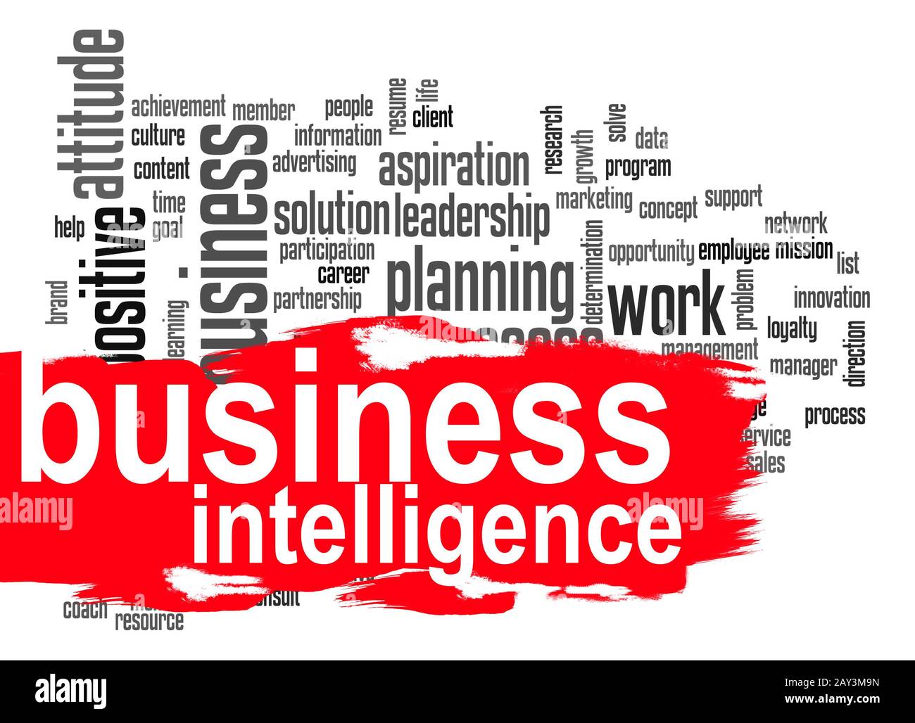 Business intelligence word cloud with red banner Stock Photo - Alamy