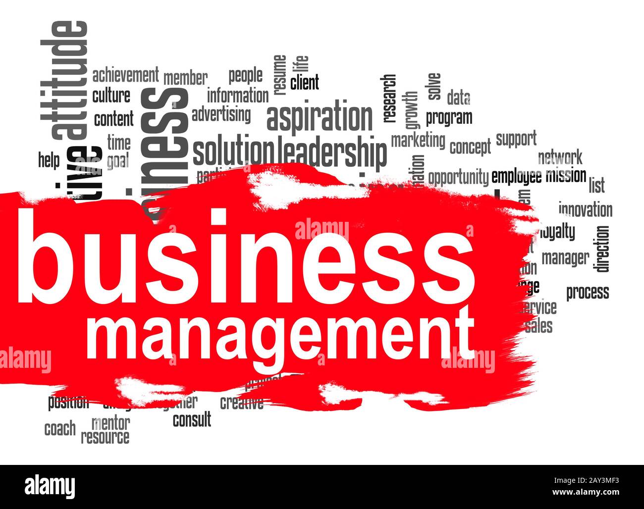 Business management word cloud with red banner Stock Photo - Alamy