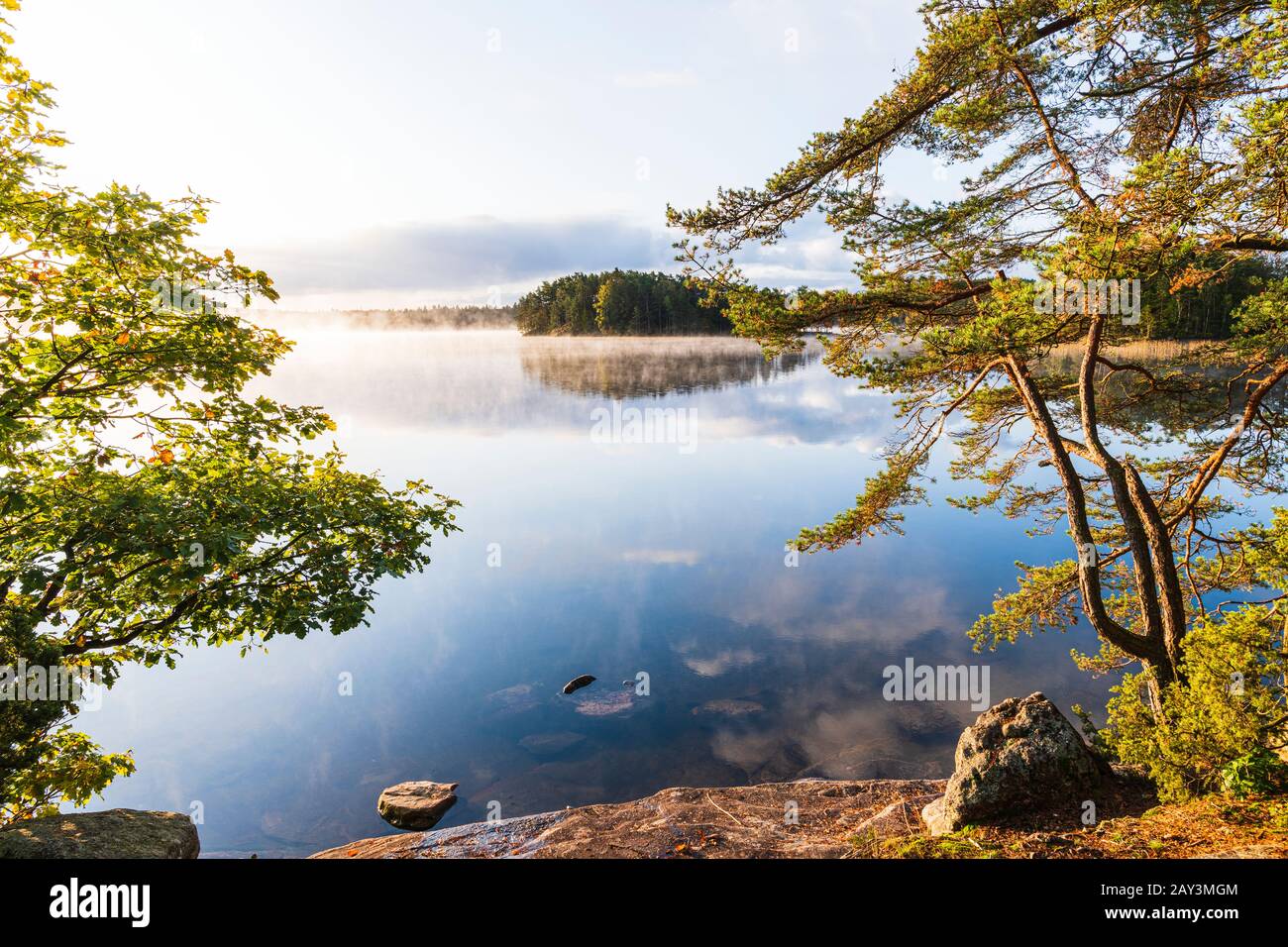 Trees at lake Stock Photo - Alamy