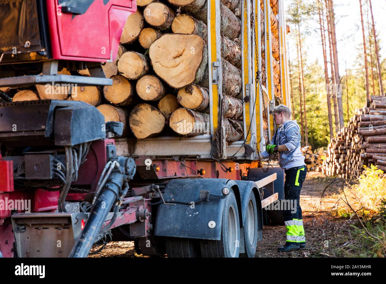 Man securing logs on trailer Stock Photo - Alamy