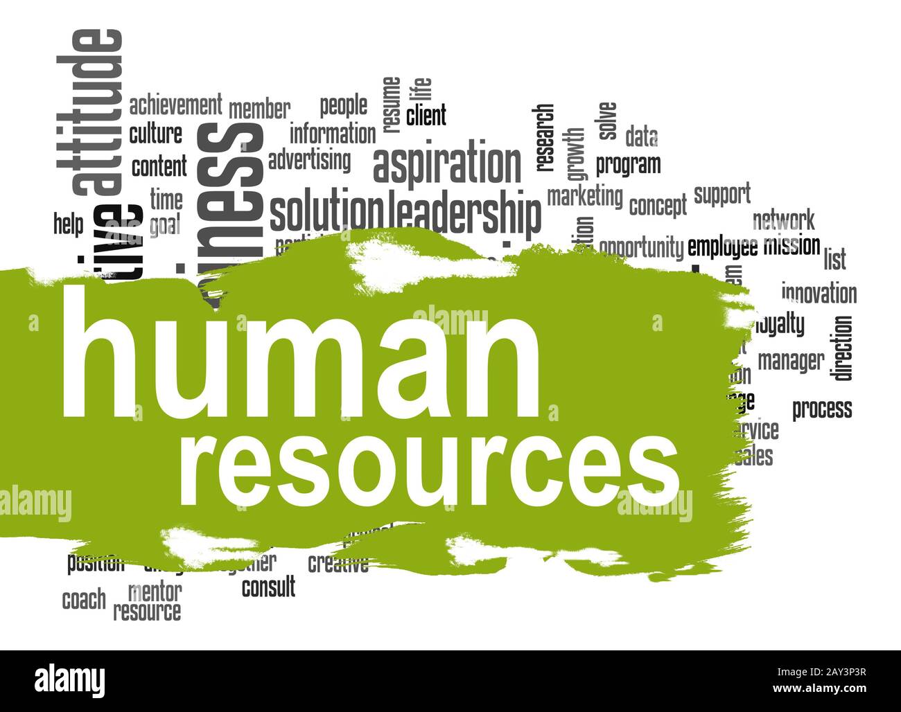 Human resources word cloud with green banner Stock Photo - Alamy