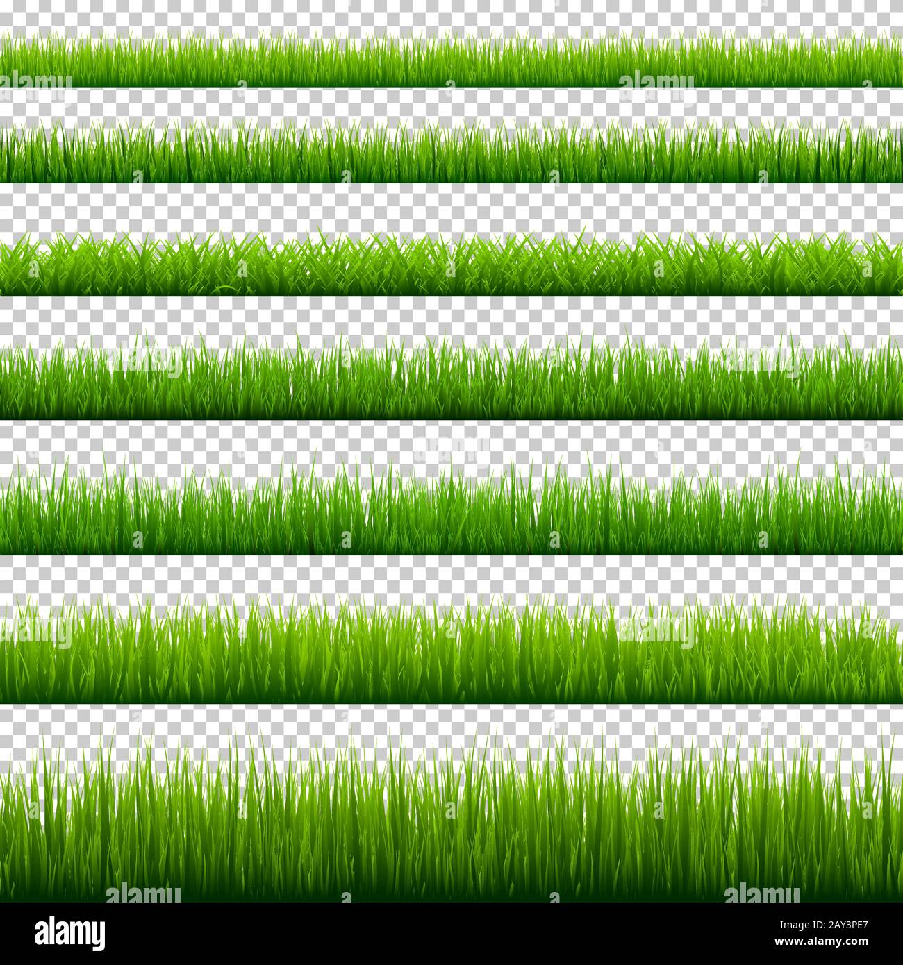 Grass borders collection. Green meadow nature background. Easter card ...