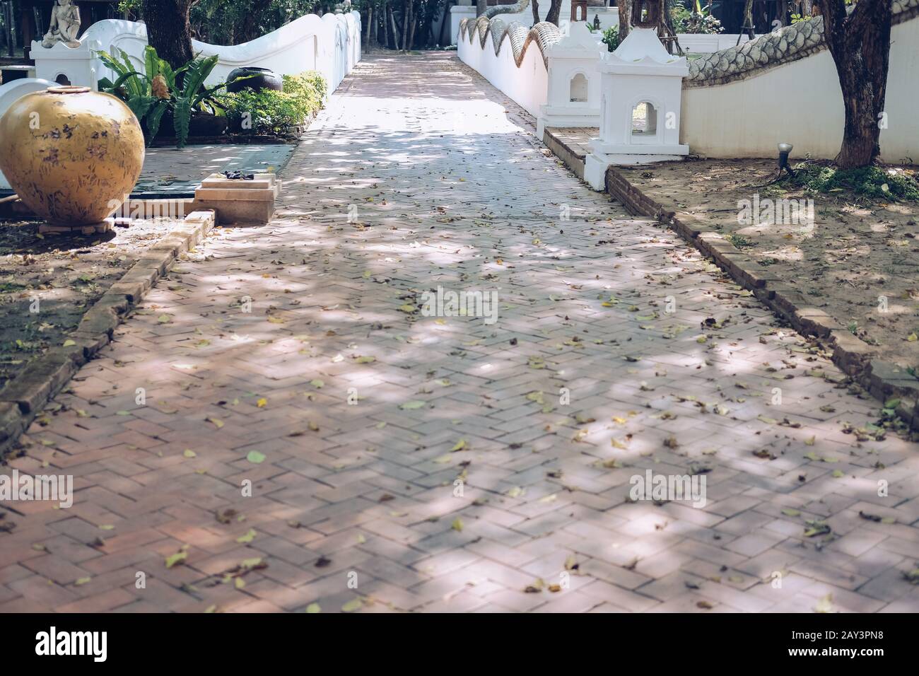 leaves & tree shadow on walkway pathway in garden park Stock Photo - Alamy