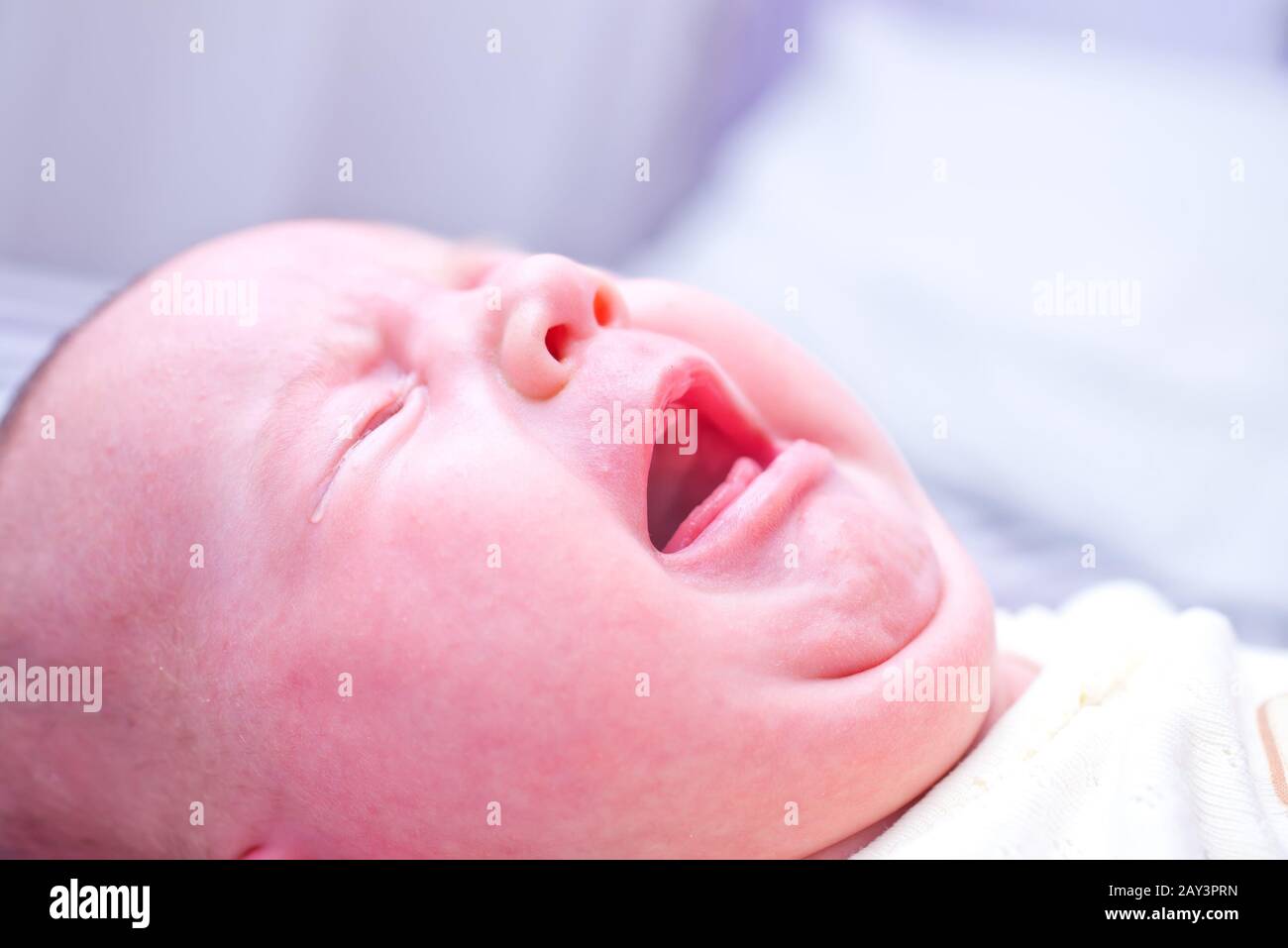 Ginger baby back hi-res stock photography and images - Alamy
