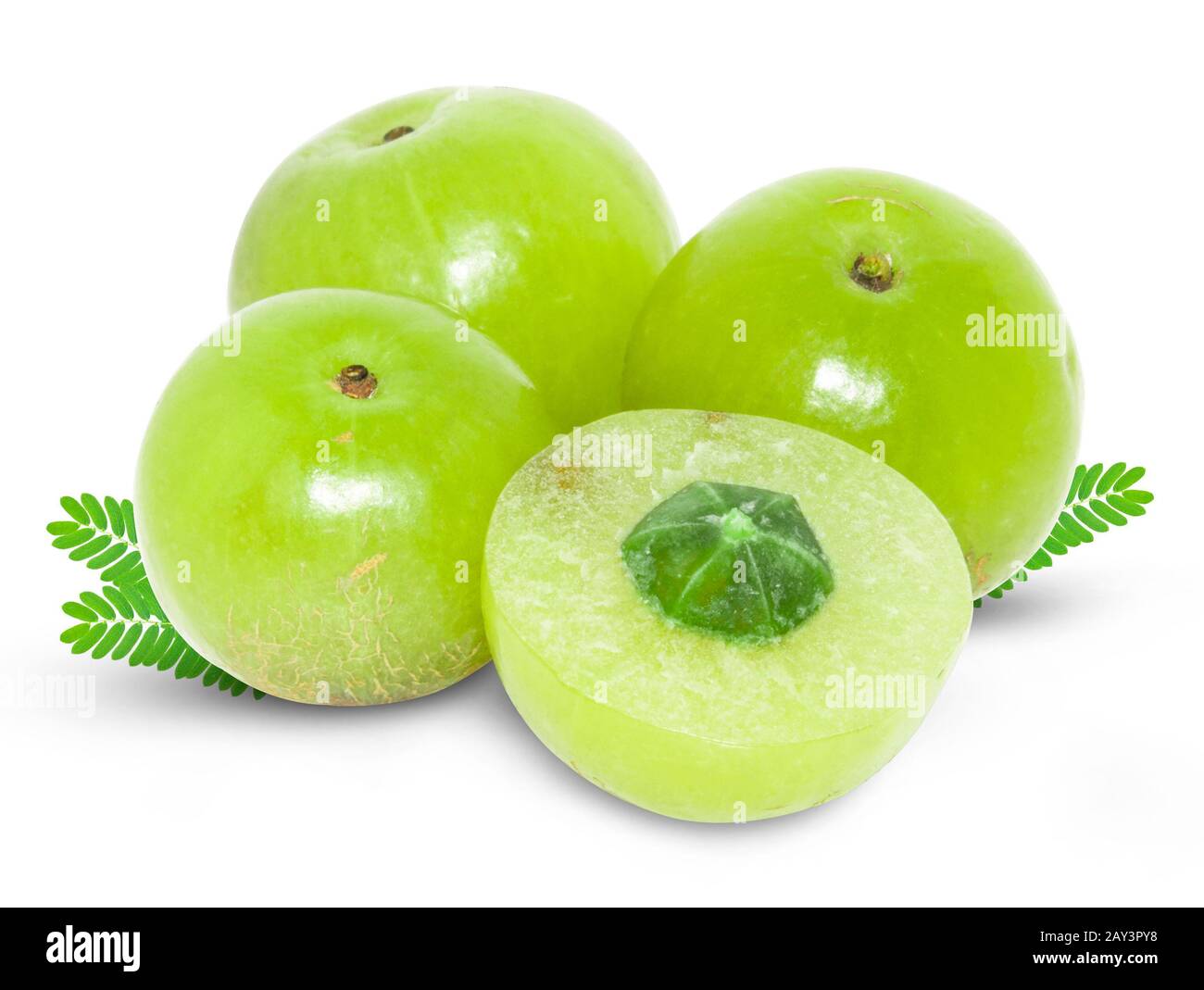 Amla green fruits ,Phyllanthus emblica isolated on white background ...