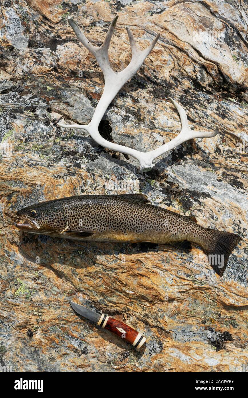 Fish, knife and antler on rock Stock Photo - Alamy
