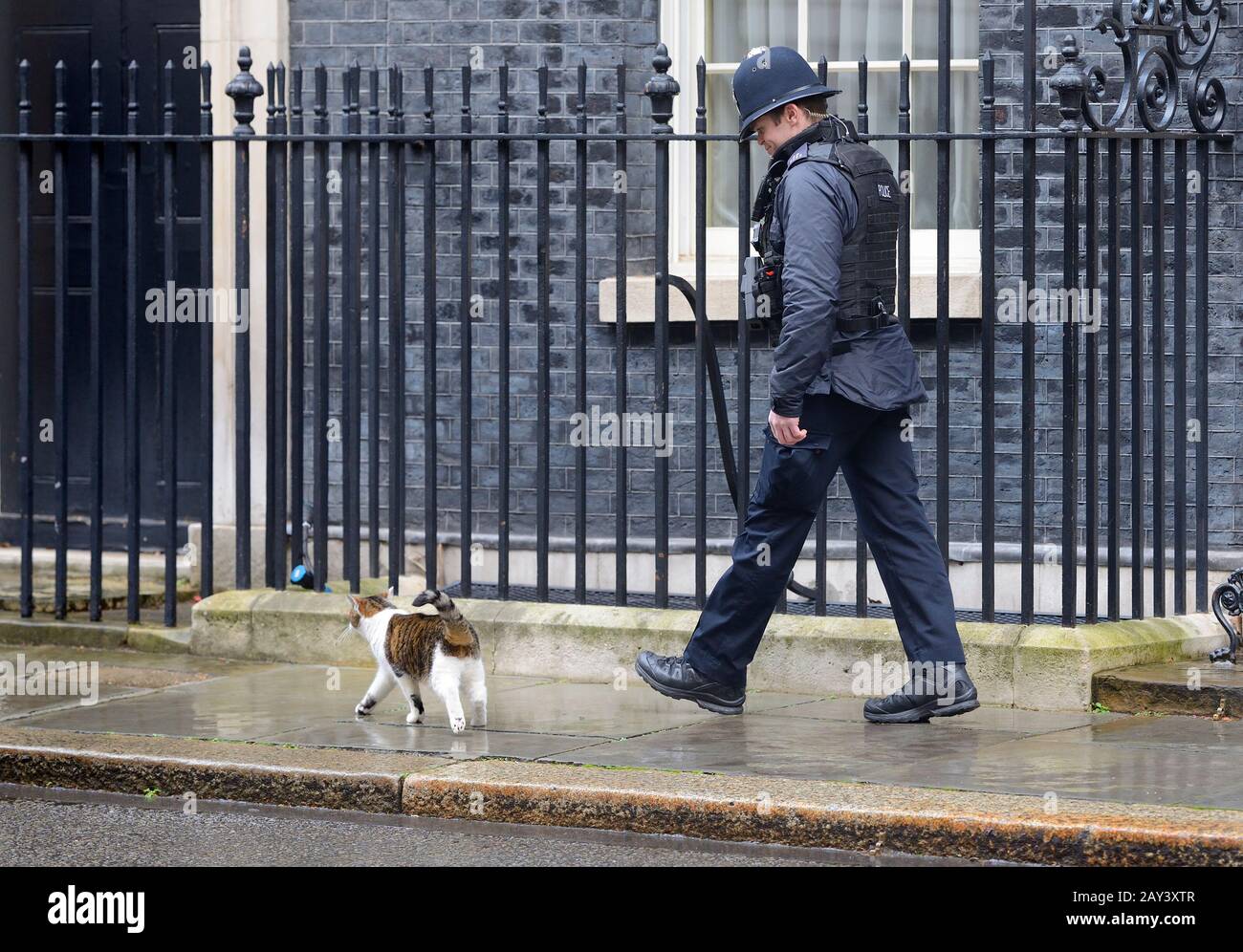 Larry the Cat, official Chief Mouser to the Cabinet Office, with police ...