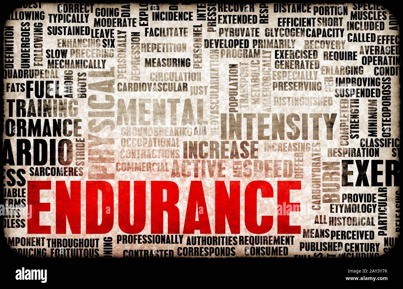 Cardiovascular endurance hi-res stock photography and images - Alamy