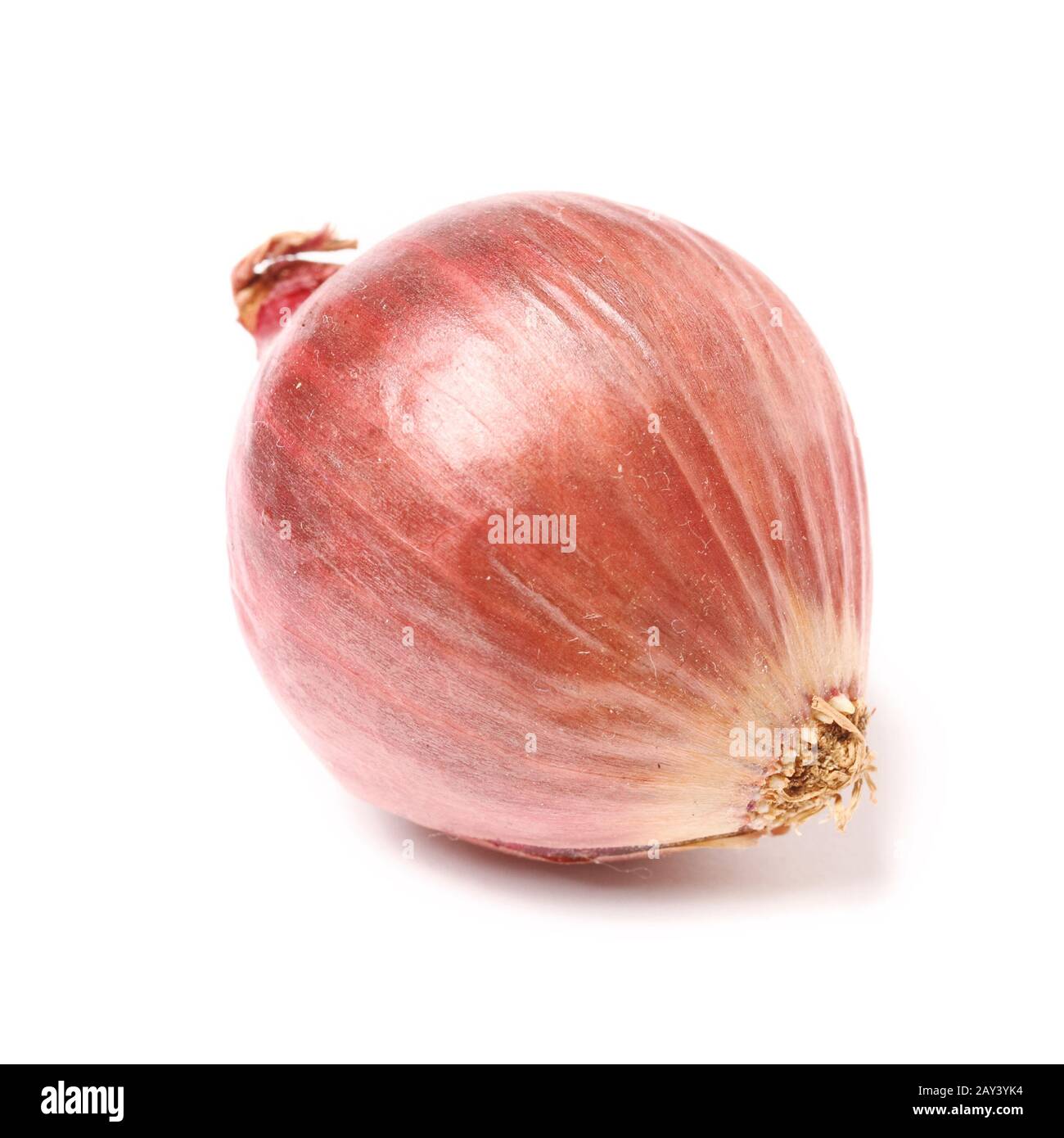 One shallot hi-res stock photography and images - Alamy