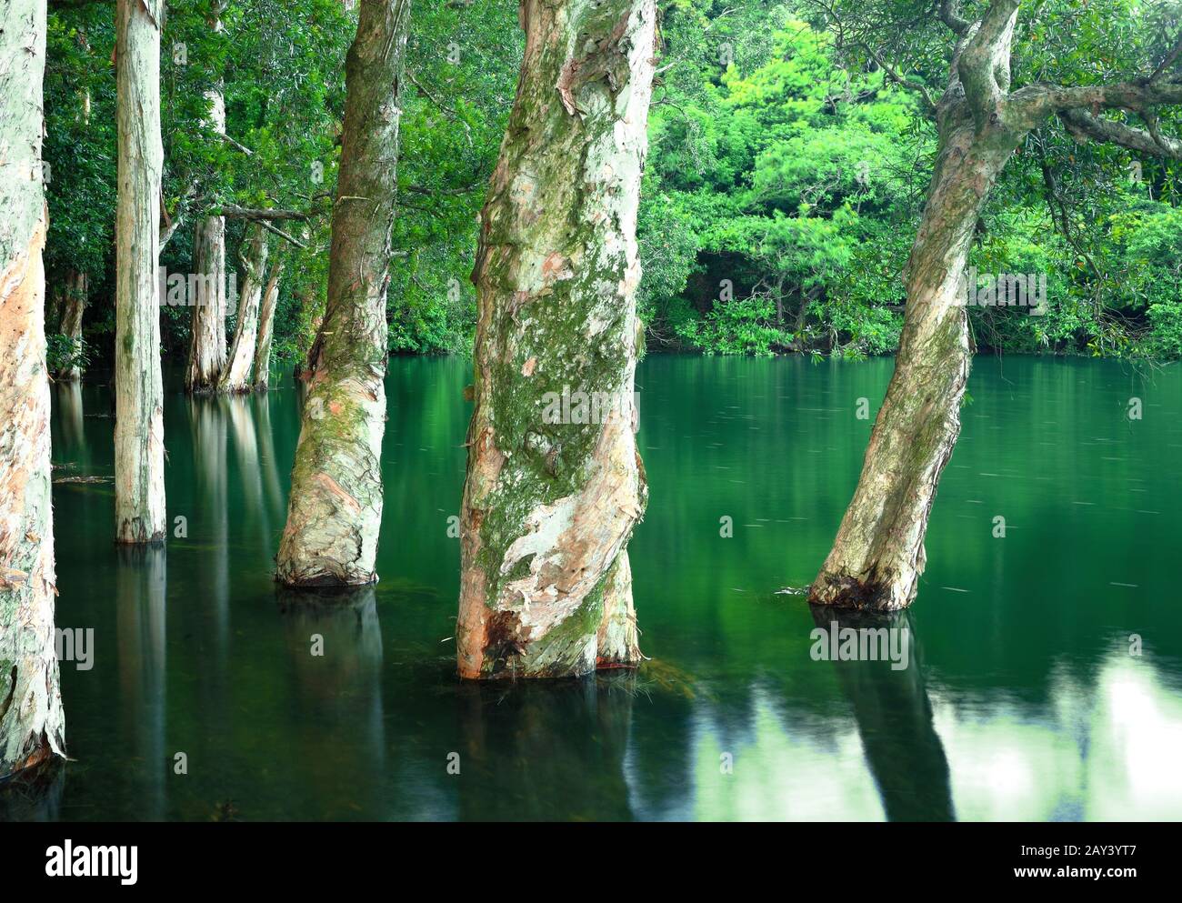 wood and water Stock Photo - Alamy