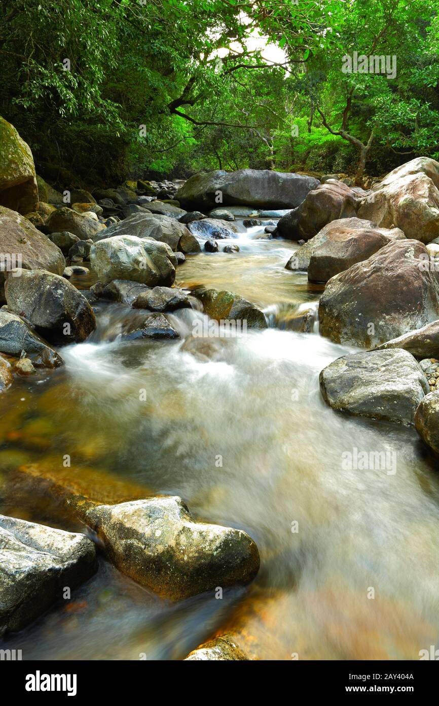 Water jungle hi-res stock photography and images - Alamy