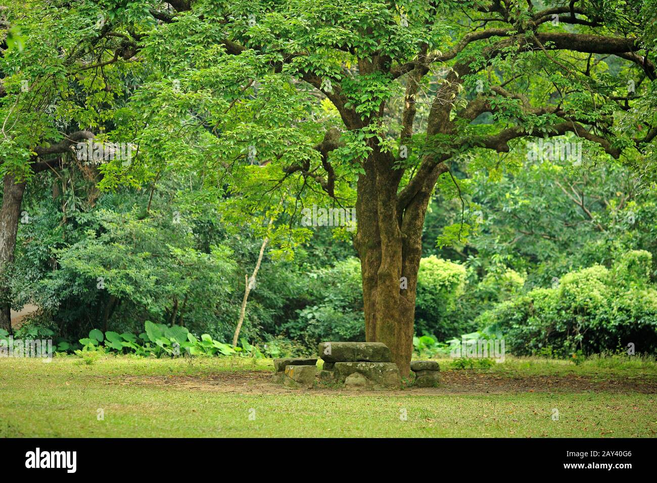 Rest under tree hi-res stock photography and images - Alamy