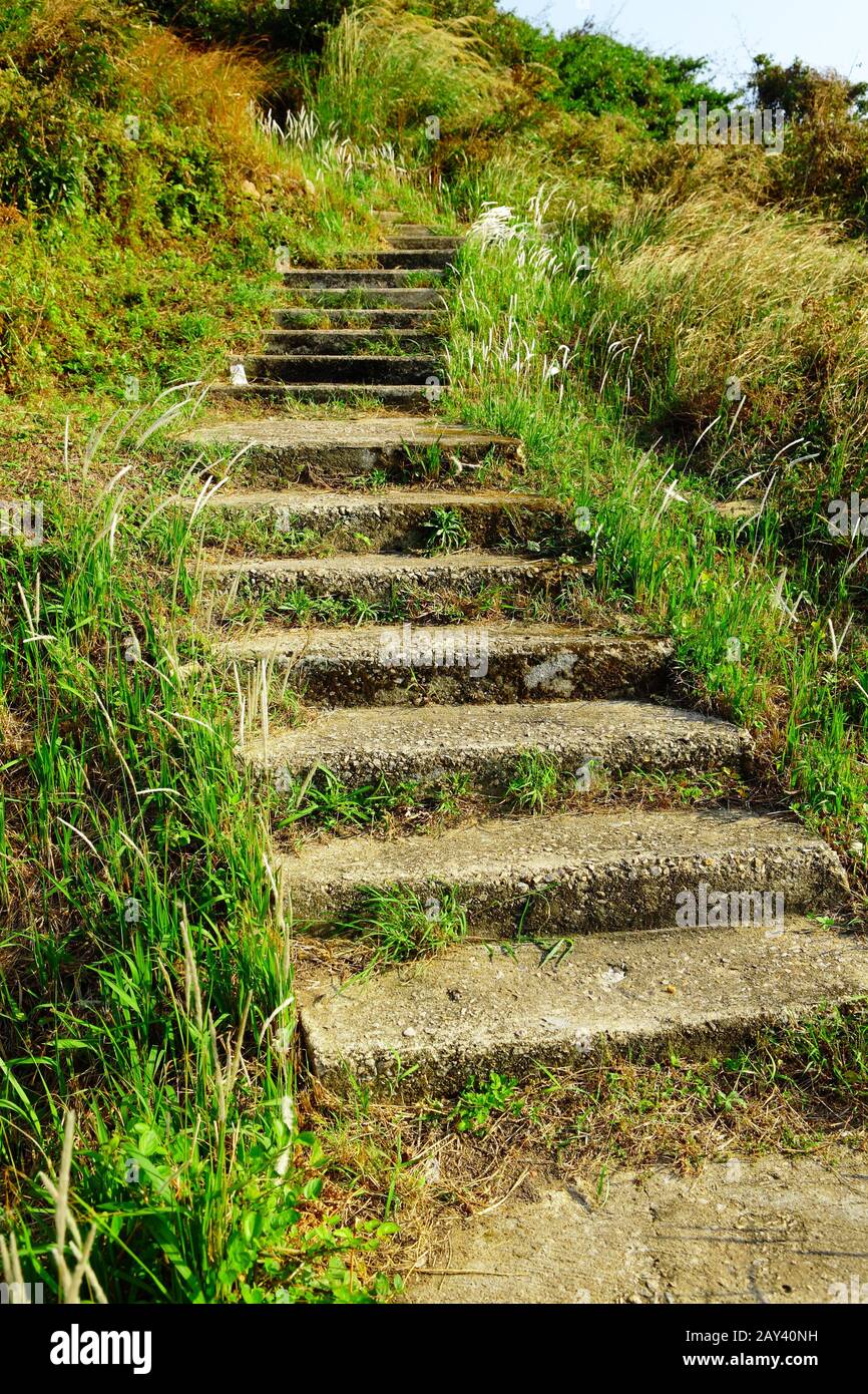 Japanese stair hi-res stock photography and images - Alamy