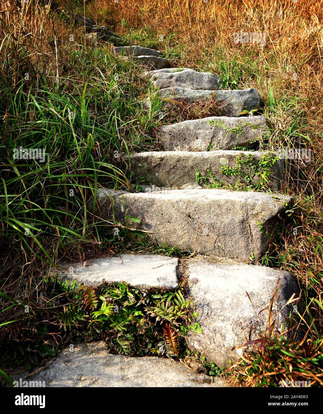 Outdoor stair hi-res stock photography and images - Alamy