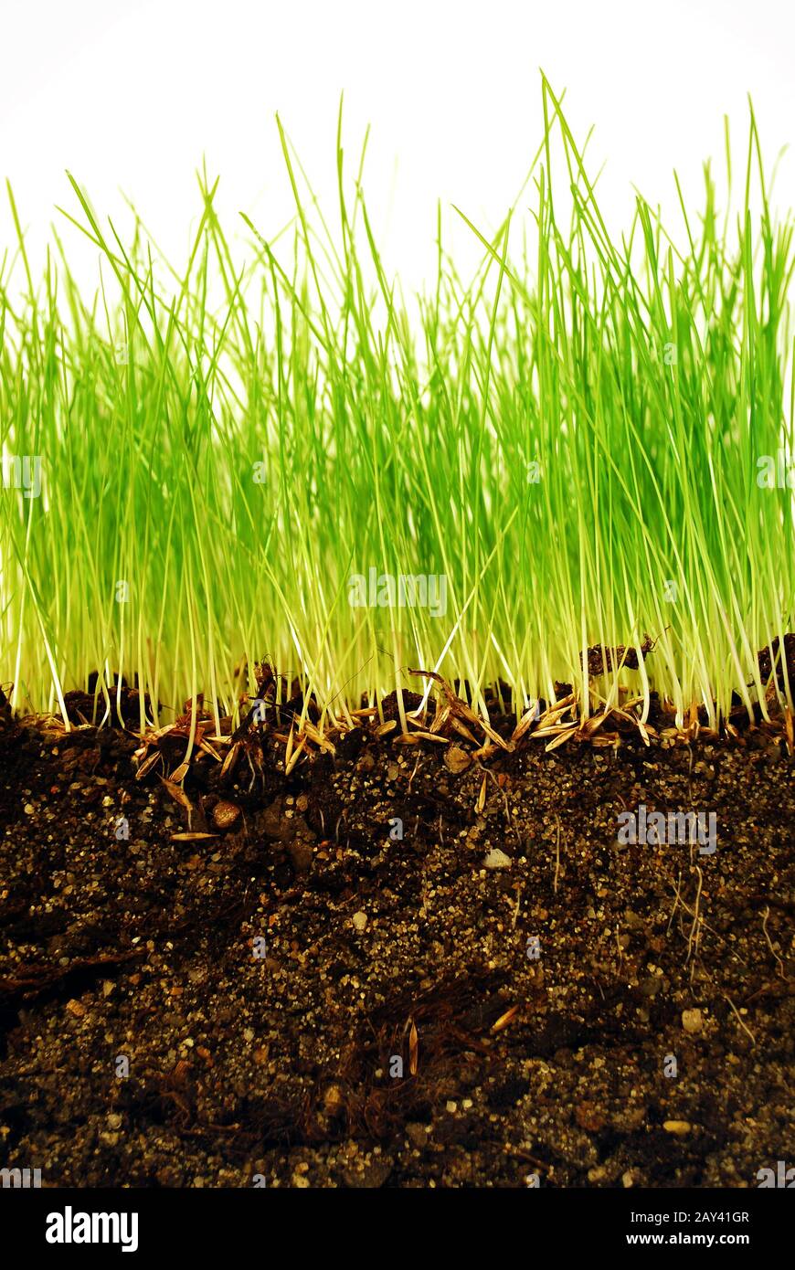earth and grass Stock Photo - Alamy
